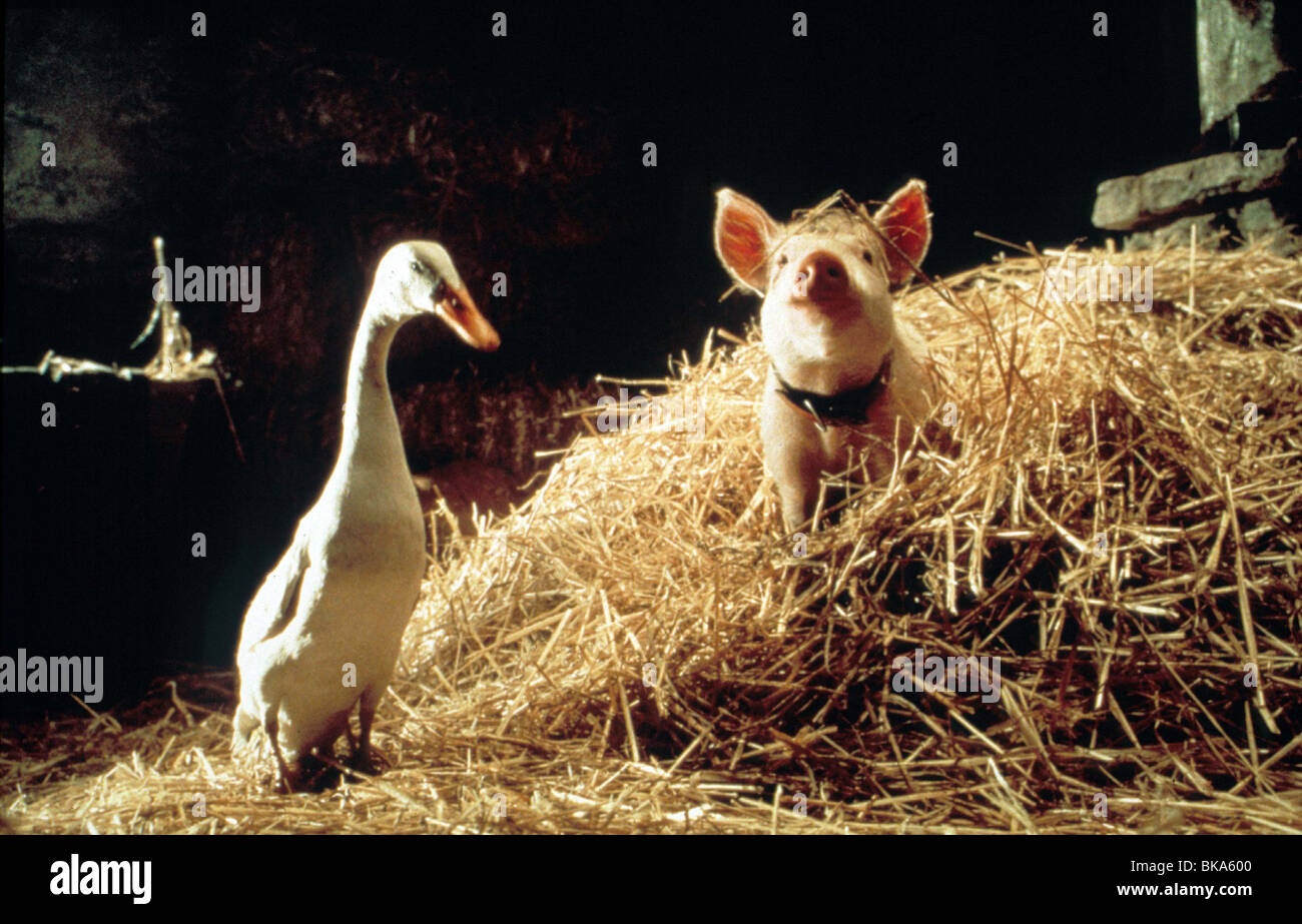 BABE: PIG IN THE CITY-1998 Stockfotografie - Alamy