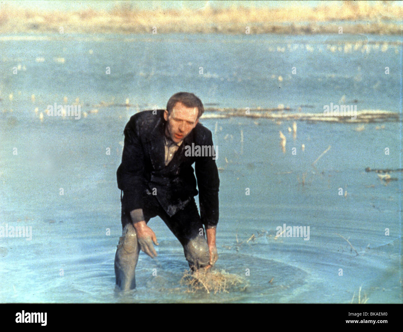 Posetitel muzeya jahr -Fotos und -Bildmaterial in hoher Auflösung – Alamy