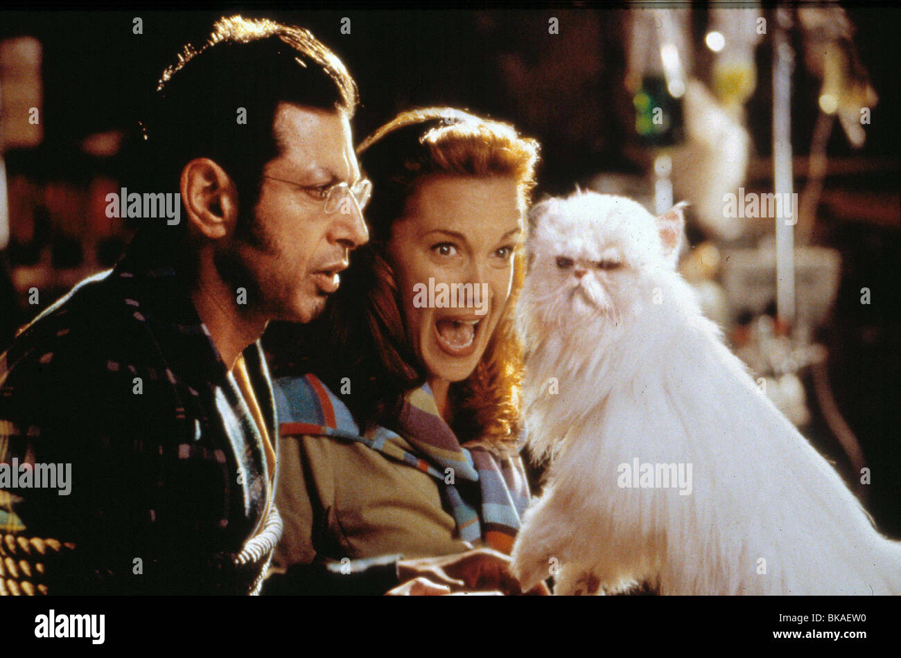 Lawrence guterman -Fotos und -Bildmaterial in hoher Auflösung – Alamy