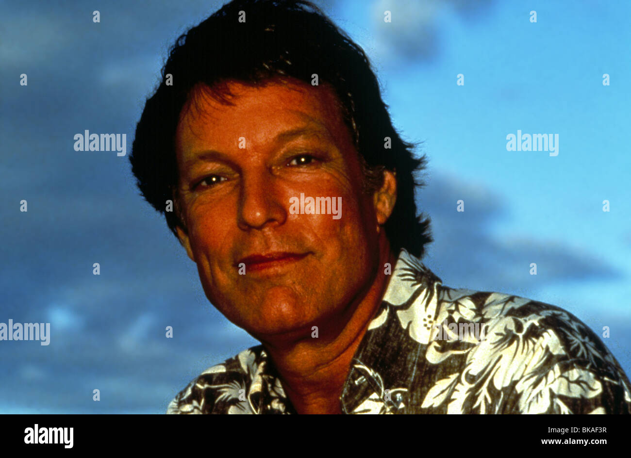 RICHARD CHAMBERLAIN PORTRAIT Stockfotografie - Alamy