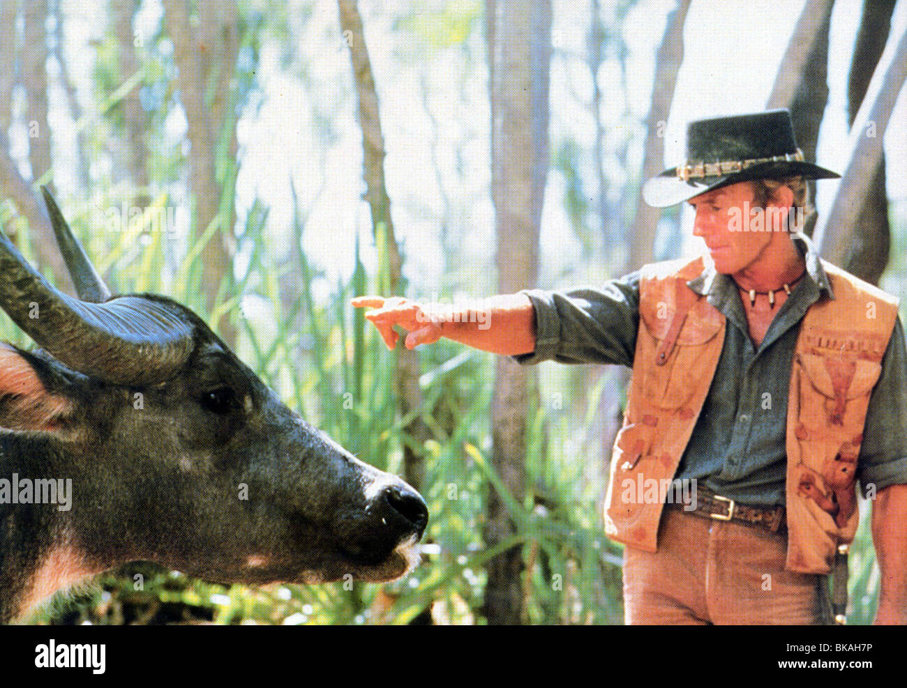 Paul hogan crocodile dundee 1986 -Fotos und -Bildmaterial in hoher ...