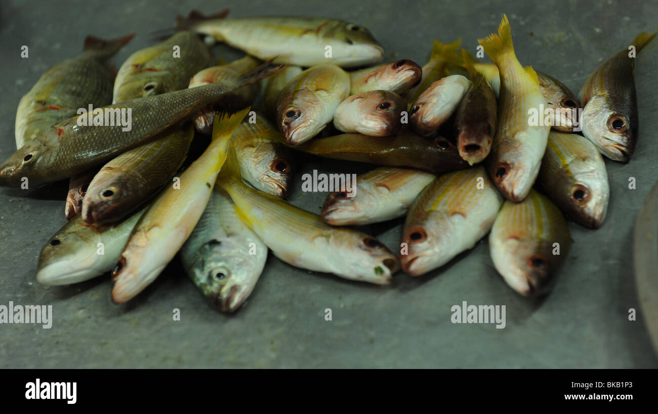 Rayong province -Fotos und -Bildmaterial in hoher Auflösung – Alamy