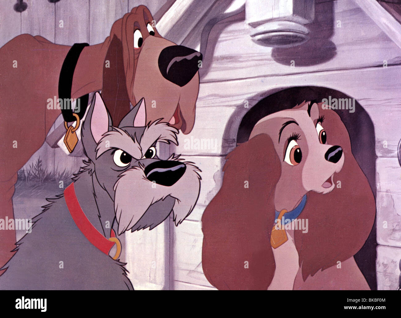 Disney lady and the tramp 1955 -Fotos und -Bildmaterial in hoher ...