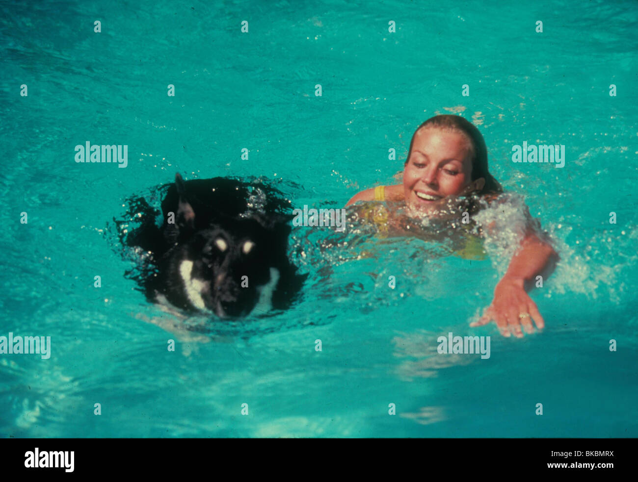 Ten (1979) bo derek -Fotos und -Bildmaterial in hoher Auflösung – Alamy