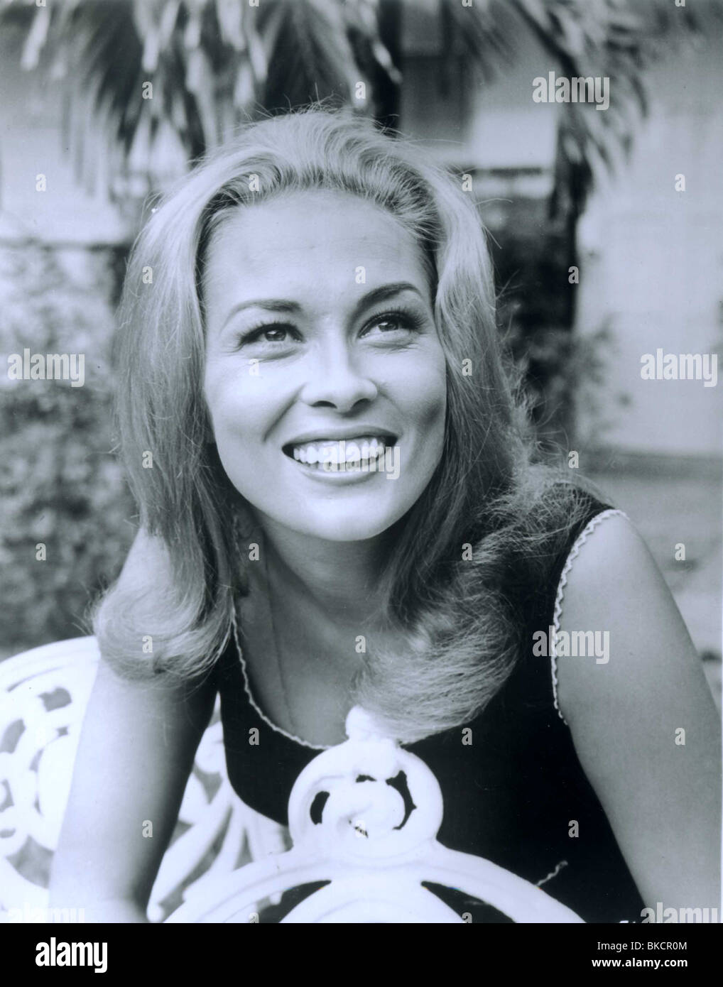 Faye dunaway -Fotos und -Bildmaterial in hoher Auflösung – Alamy