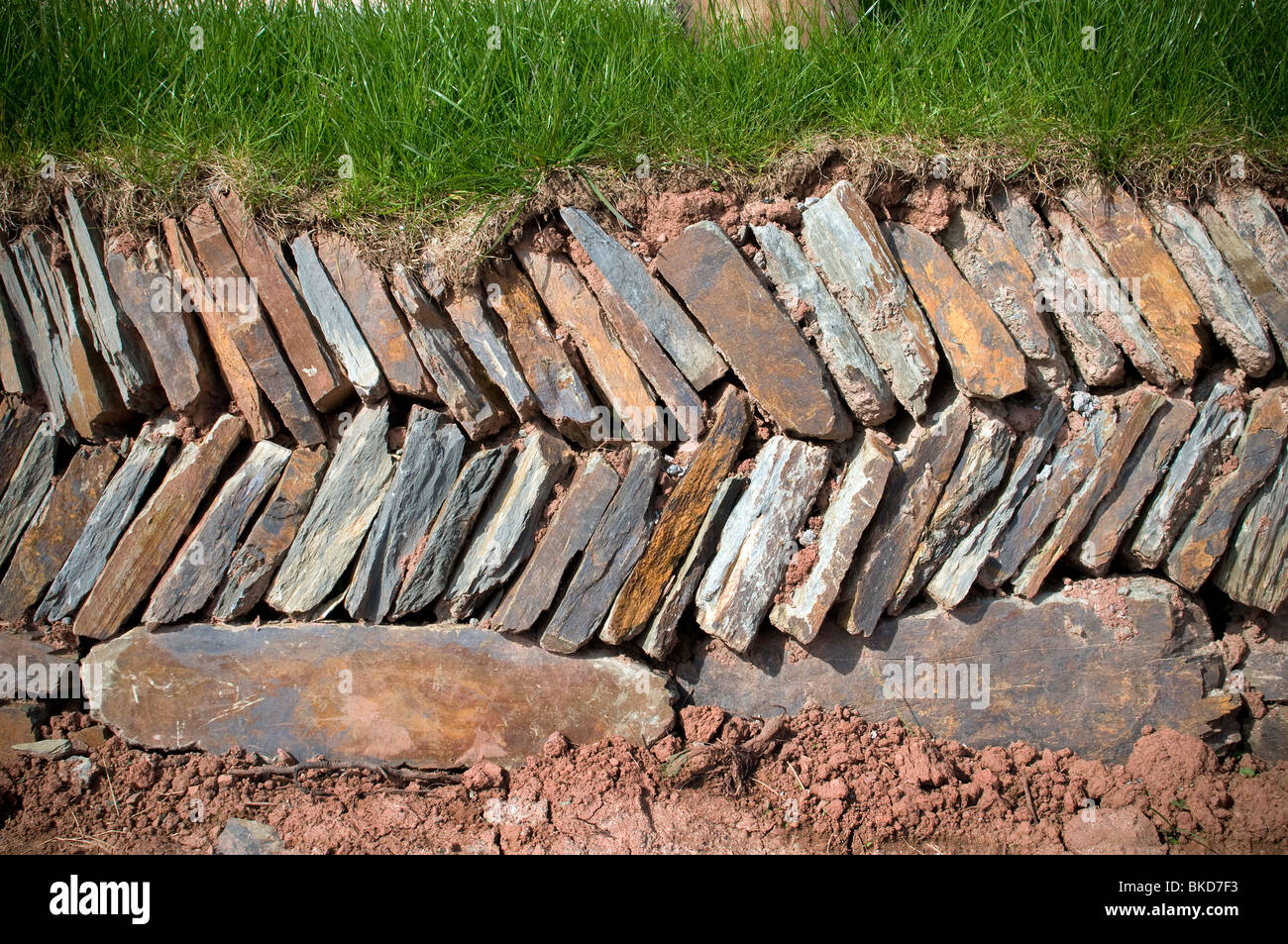 Devon hedge bank -Fotos und -Bildmaterial in hoher Auflösung – Alamy