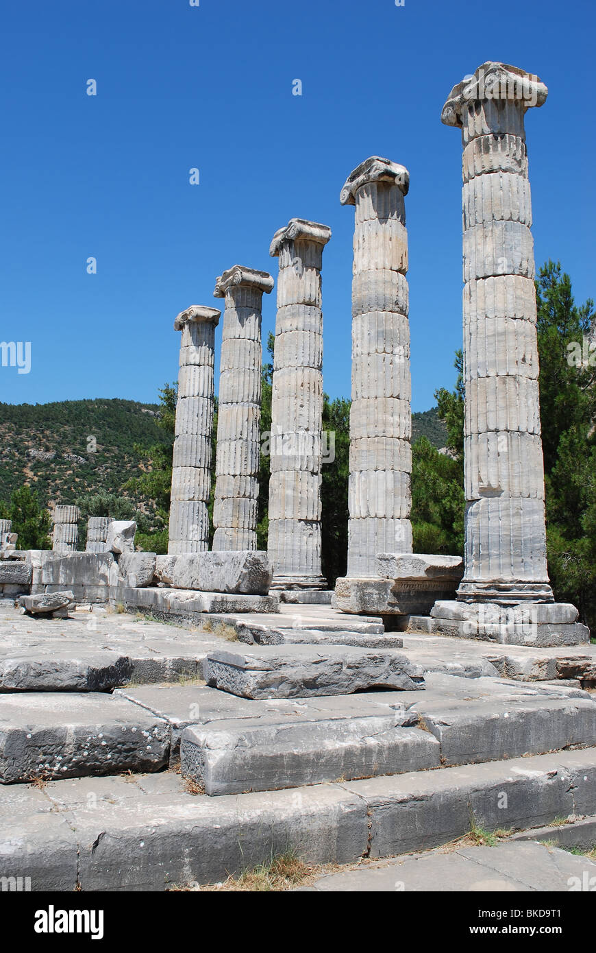 Ionian Temple Stockfotos und -bilder Kaufen - Alamy