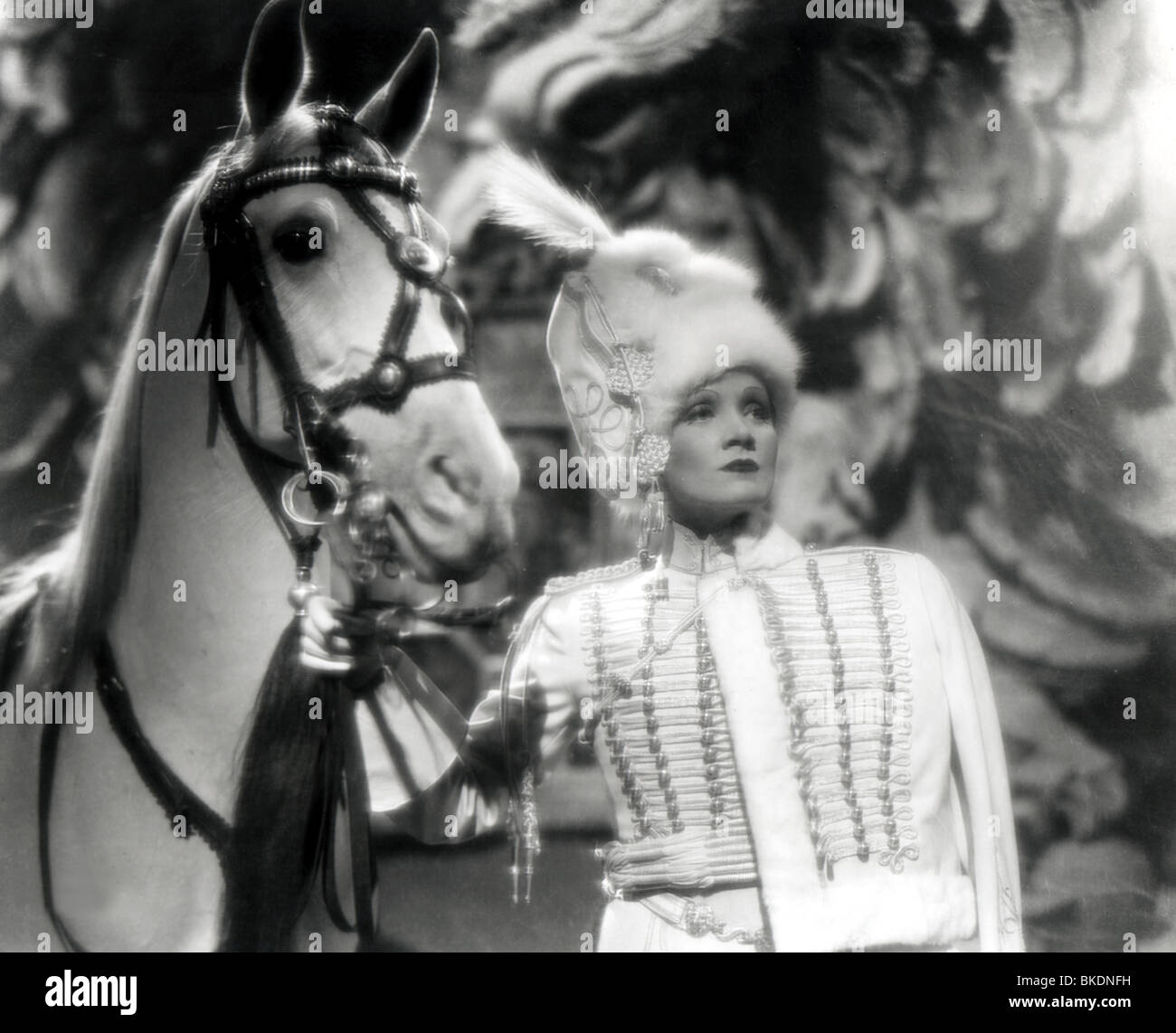 Marlene dietrich -Fotos und -Bildmaterial in hoher Auflösung – Alamy