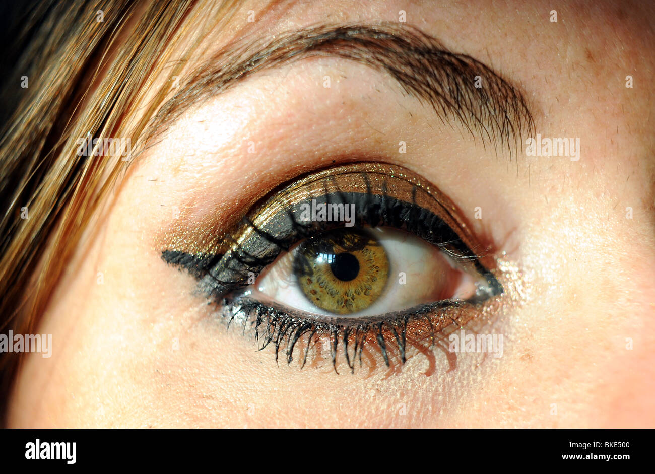 Starrendes haselnussbraunes auge -Fotos und -Bildmaterial in hoher ...