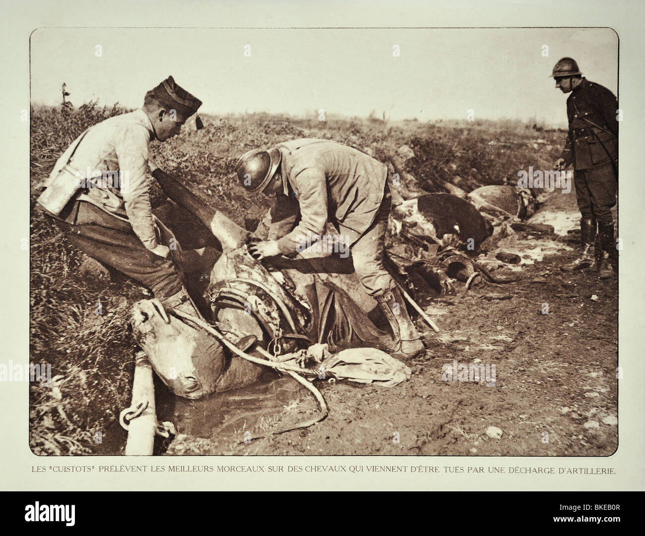 Tote pferde im krieg -Fotos und -Bildmaterial in hoher Auflösung – Alamy