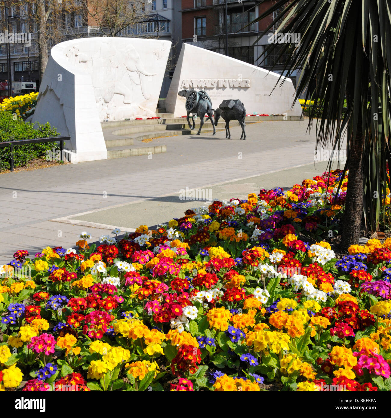Tiere im kriegskranz Stockfotos und -bilder Kaufen - Alamy