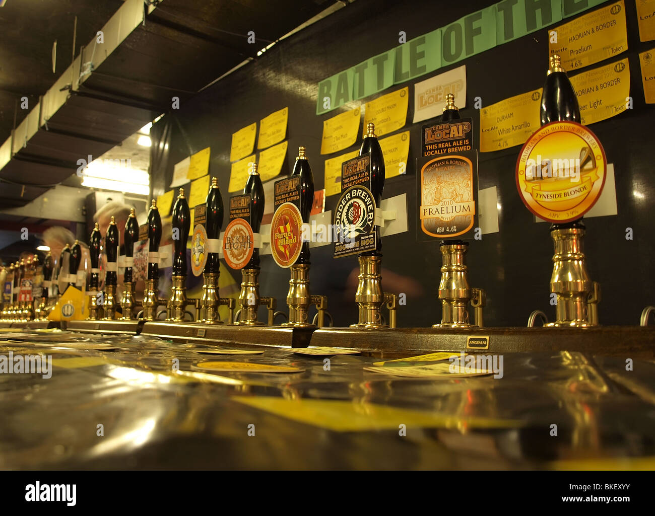 Camra beer festival -Fotos und -Bildmaterial in hoher Auflösung – Alamy