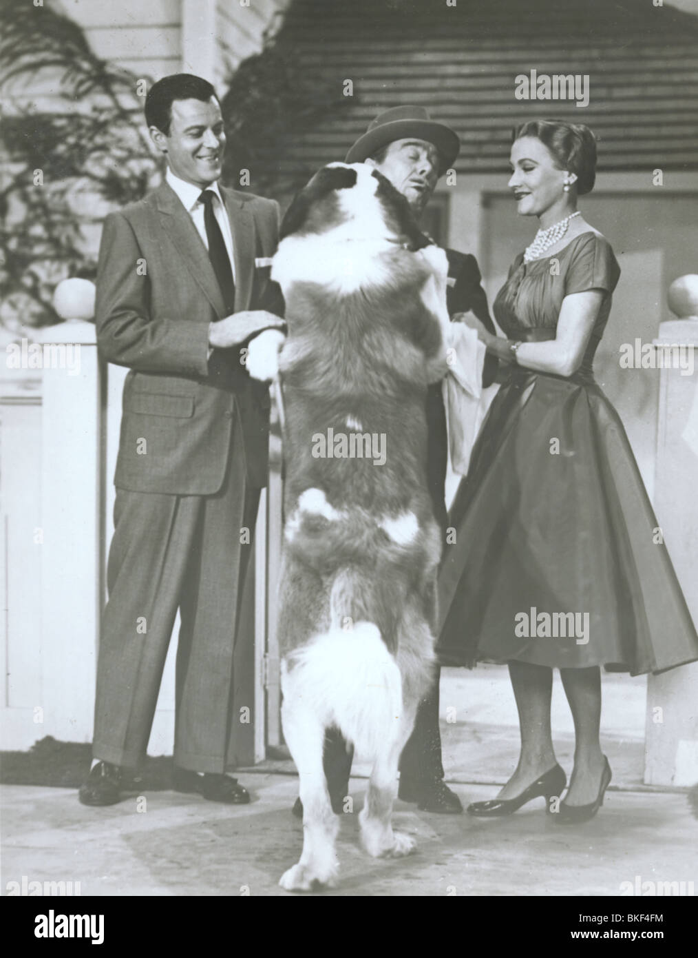 Der topper -Fotos und -Bildmaterial in hoher Auflösung – Alamy