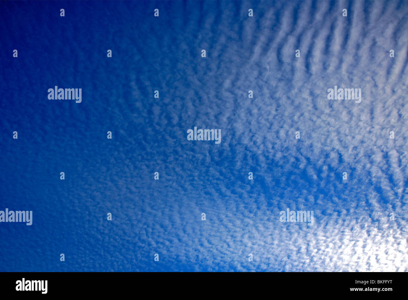 Altocumulus stratiformis wolken -Fotos und -Bildmaterial in hoher ...