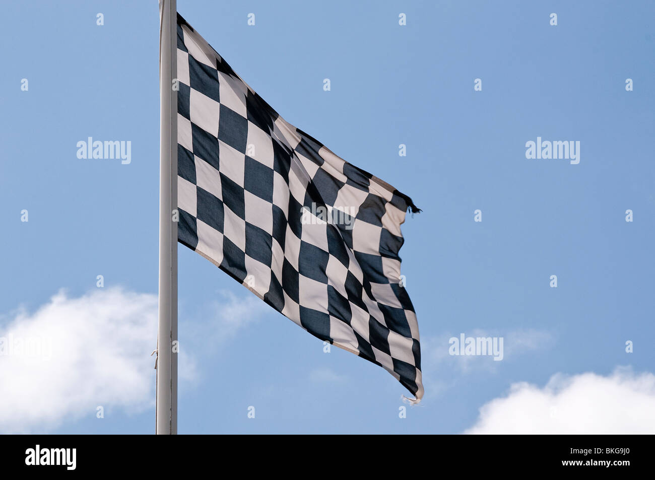 Checkered flag -Fotos und -Bildmaterial in hoher Auflösung – Alamy