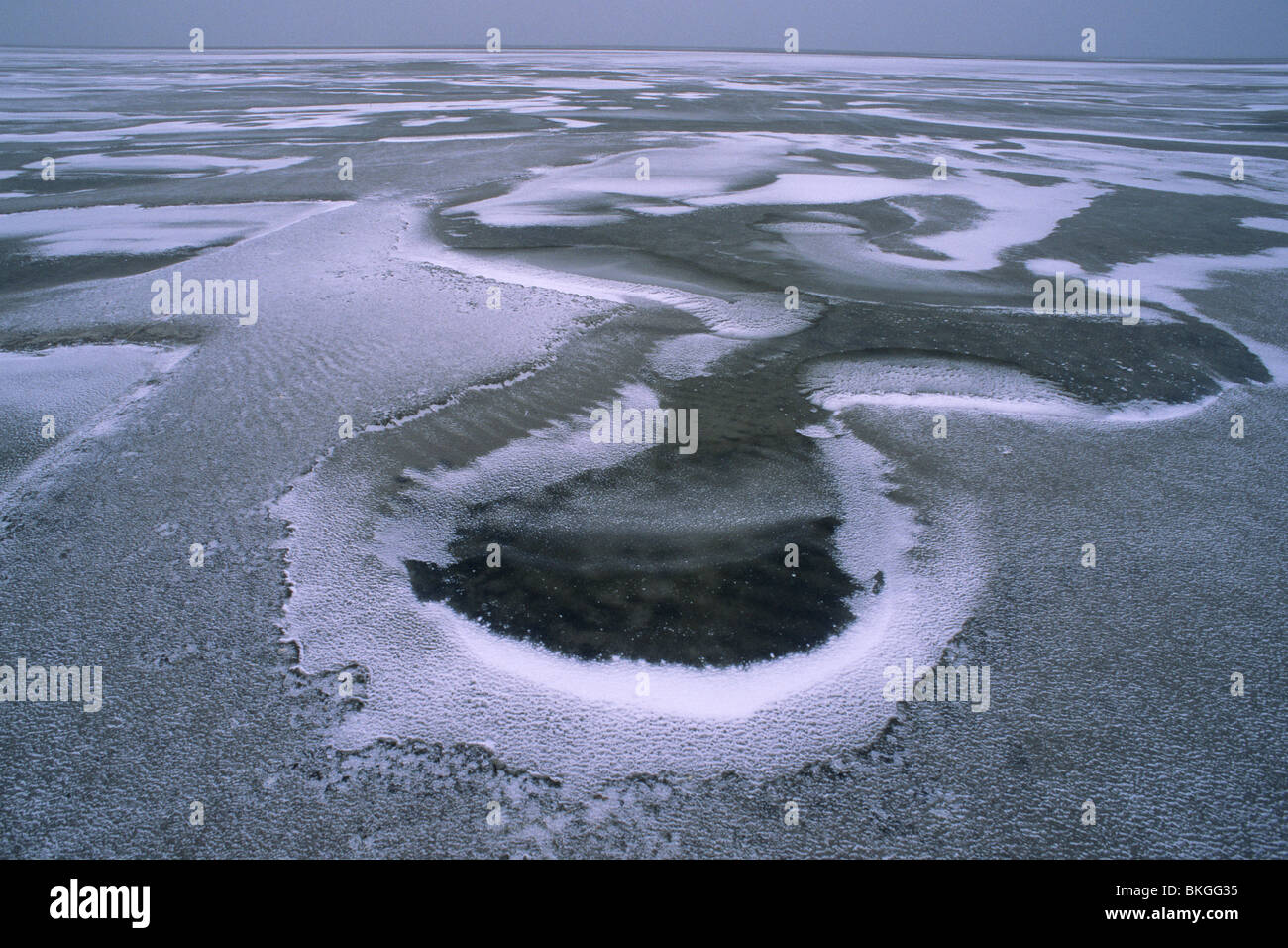 Bevroren Nordseestrand Op Schiermonnikoog, Vrozen Nord Meer Strand von ...