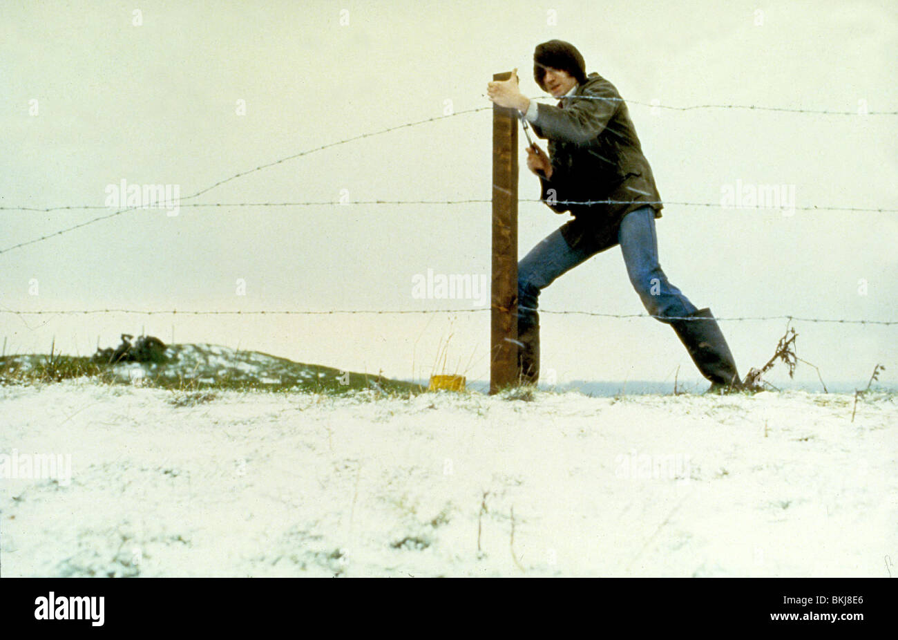 Cal 1984 john lynch -Fotos und -Bildmaterial in hoher Auflösung – Alamy