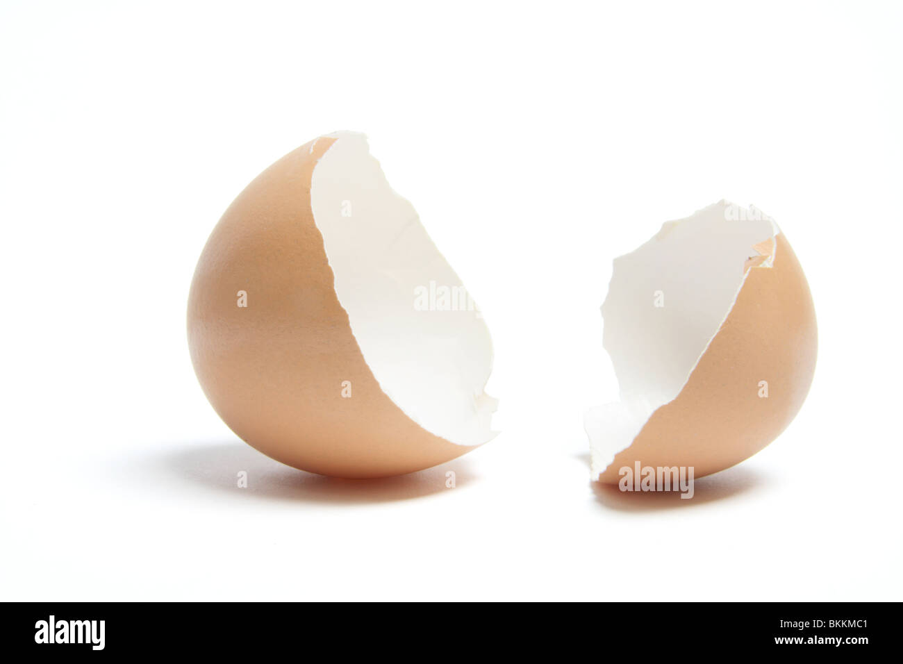 Eggs shells -Fotos und -Bildmaterial in hoher Auflösung – Alamy