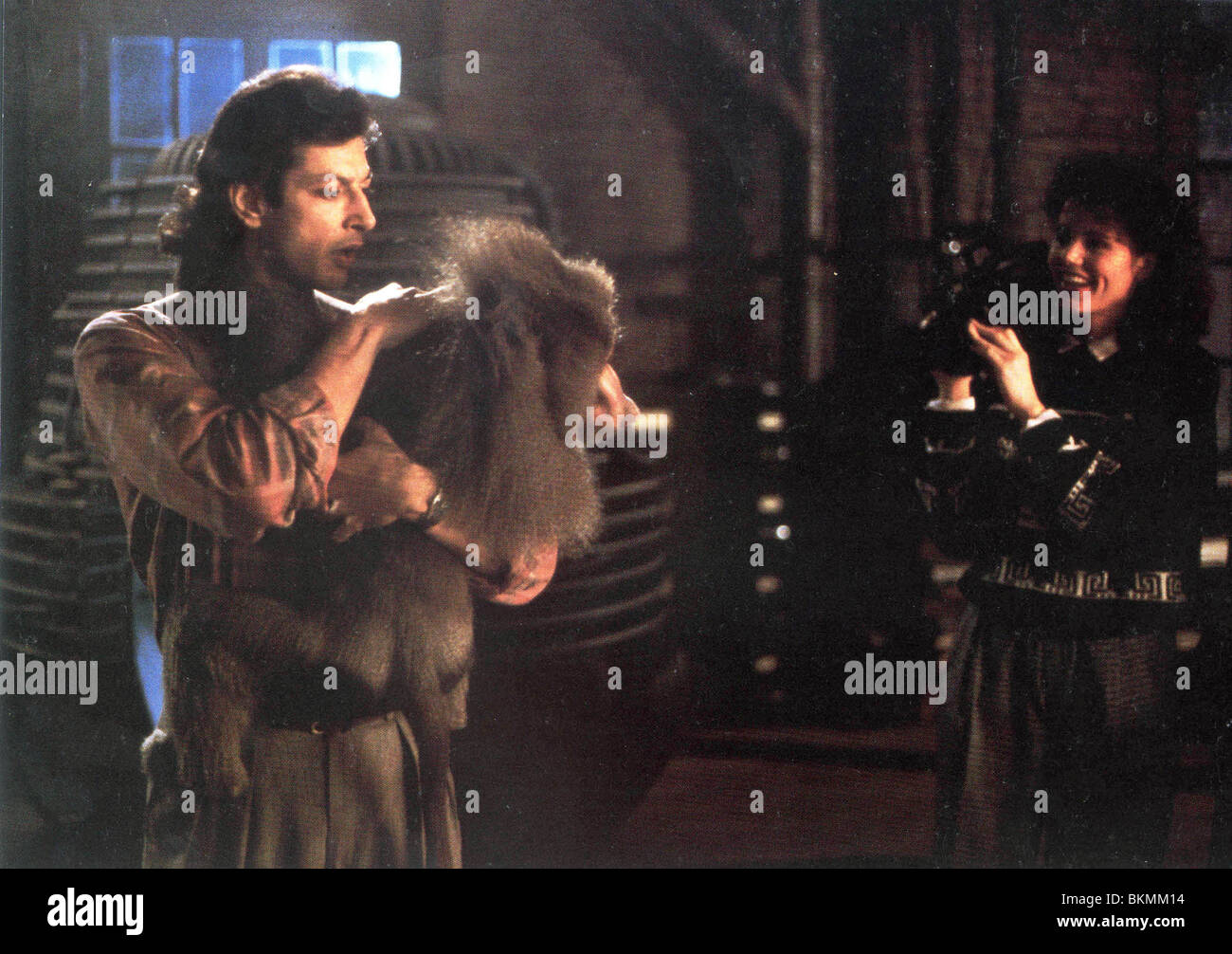 Die fliege 1986 geena davis -Fotos und -Bildmaterial in hoher Auflösung ...