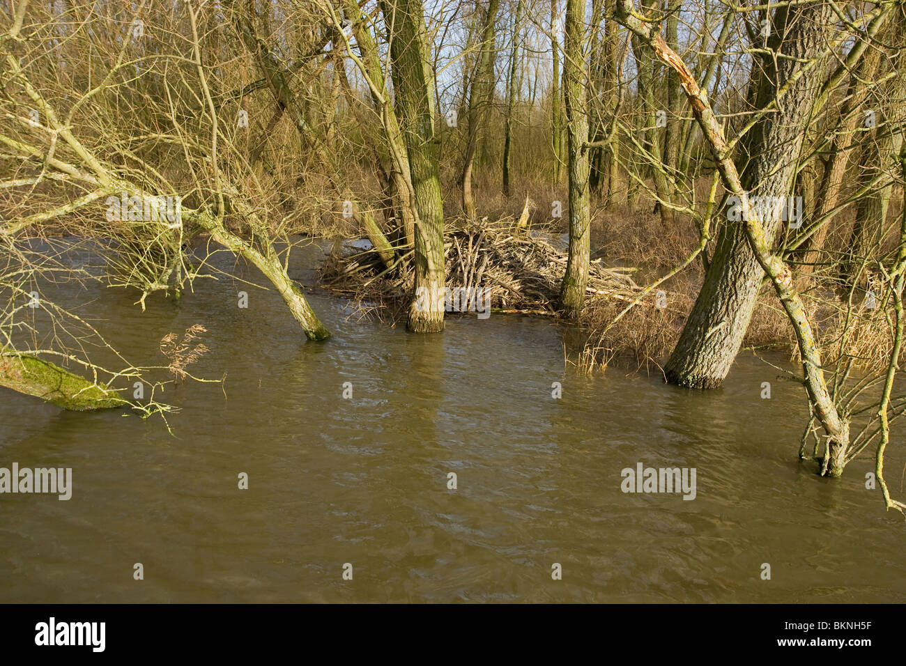 Van bever -Fotos und -Bildmaterial in hoher Auflösung – Alamy