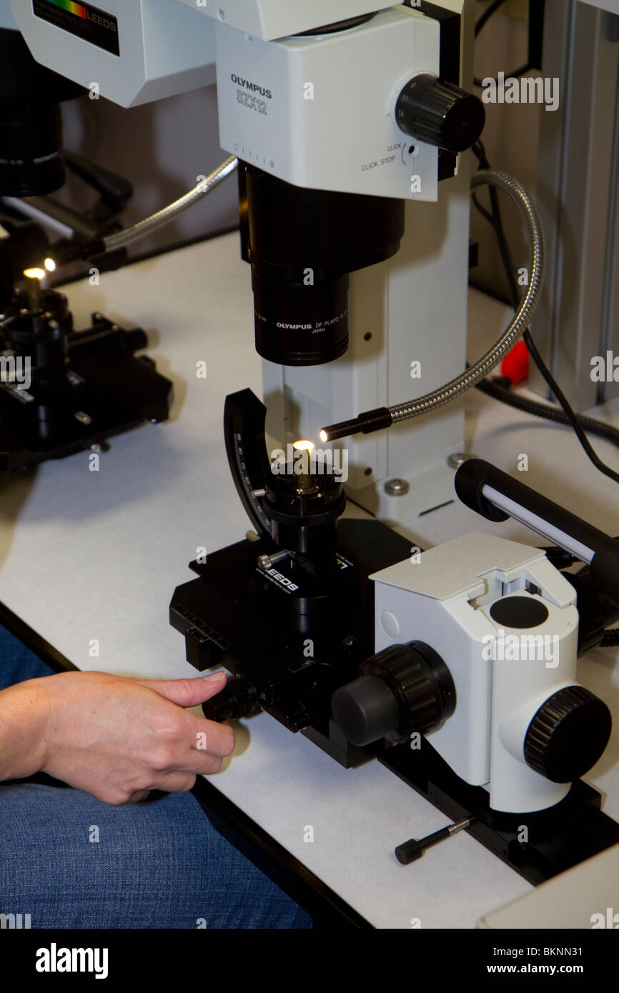 Forensiker bereitet Mikroskop Hammer Markierungen am Gehäuse der ...