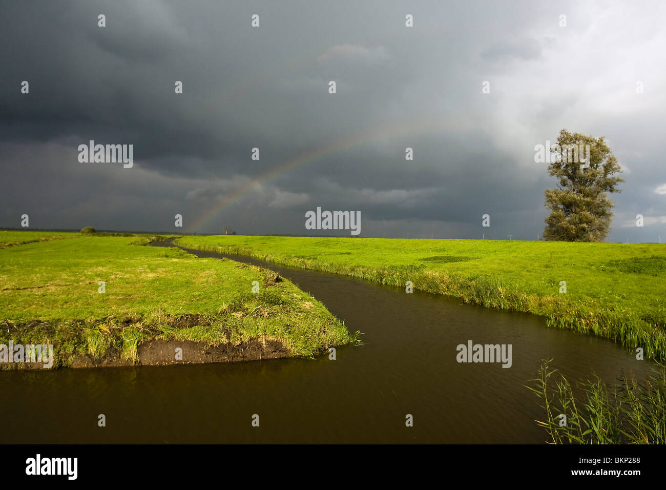 Klei op veen -Fotos und -Bildmaterial in hoher Auflösung – Alamy