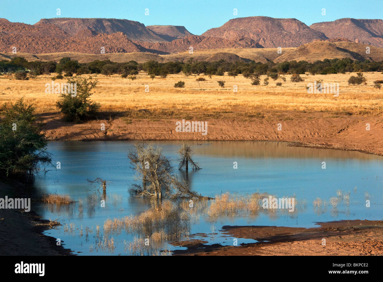 Nord namibia -Fotos und -Bildmaterial in hoher Auflösung – Alamy