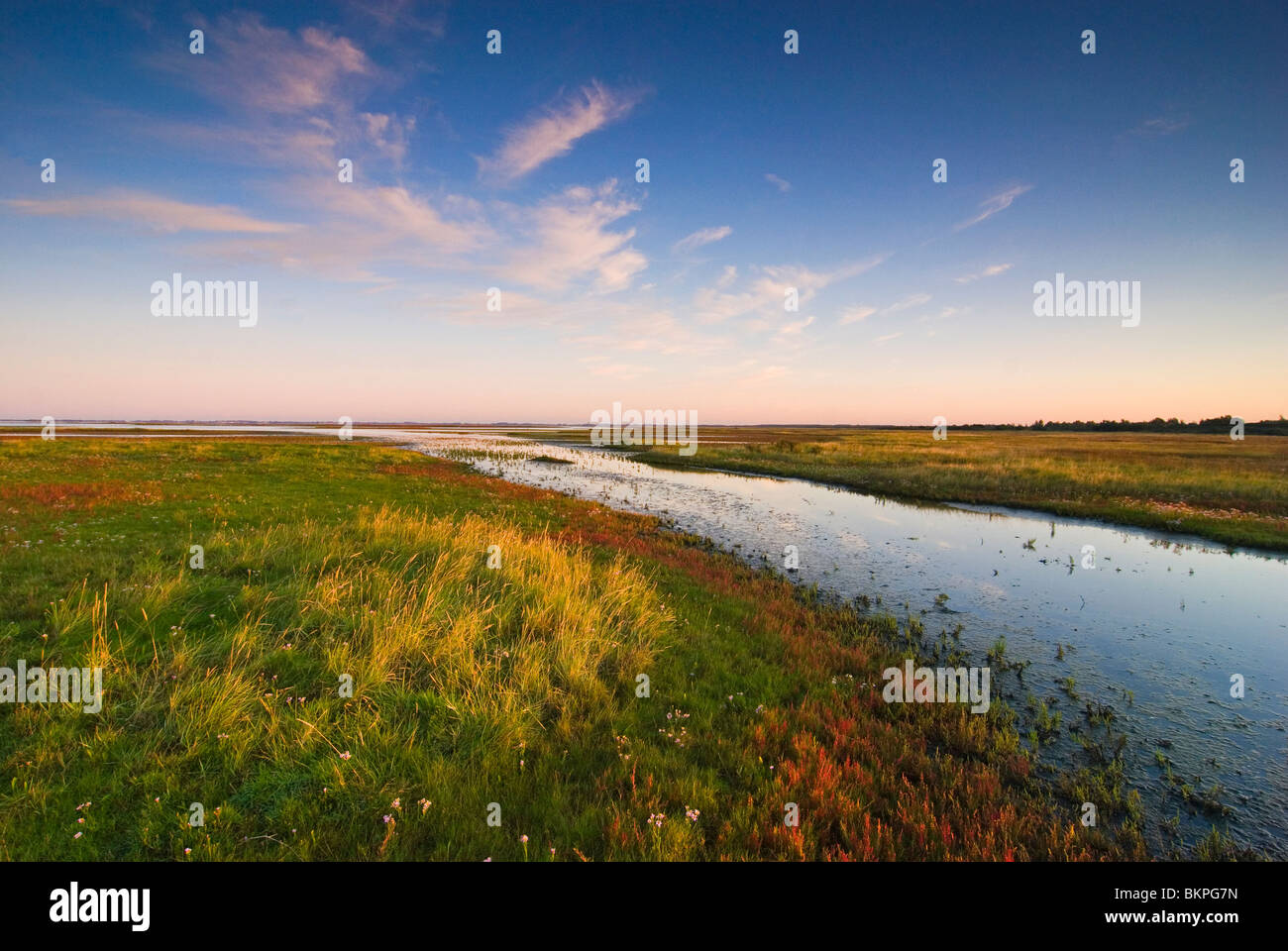 Slikken van flakkee -Fotos und -Bildmaterial in hoher Auflösung – Alamy