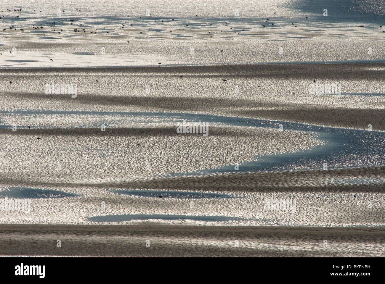Slikken van voorne -Fotos und -Bildmaterial in hoher Auflösung – Alamy