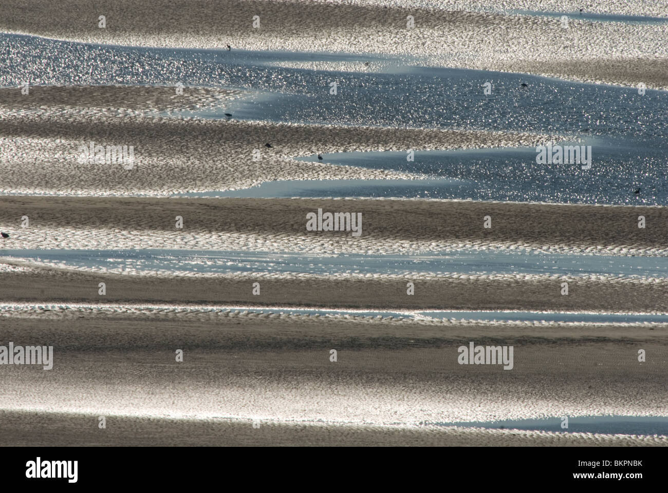 Slikken van voorne -Fotos und -Bildmaterial in hoher Auflösung – Alamy