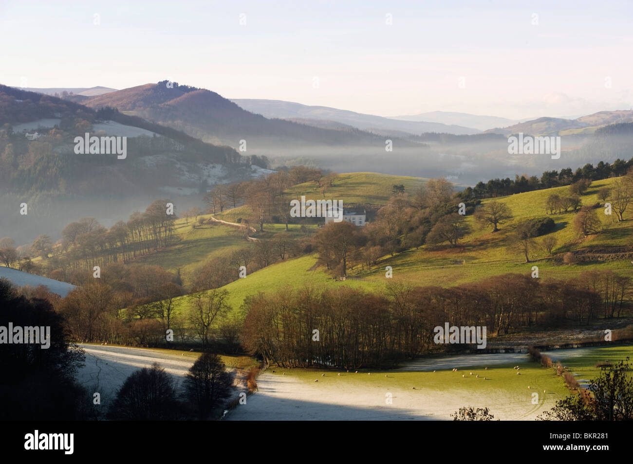 Dinbrun halle -Fotos und -Bildmaterial in hoher Auflösung – Alamy