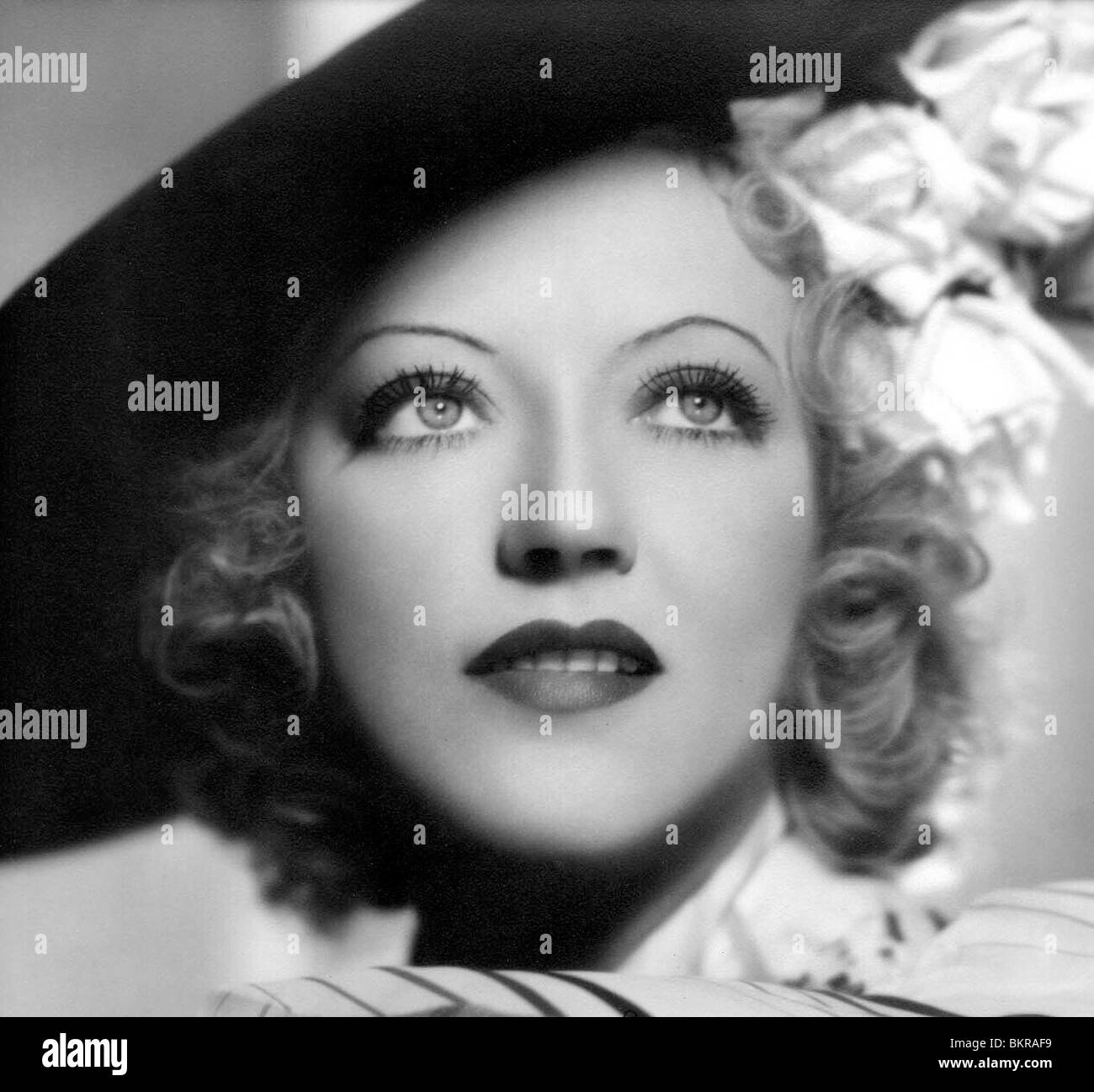 Marion lloyd -Fotos und -Bildmaterial in hoher Auflösung – Alamy