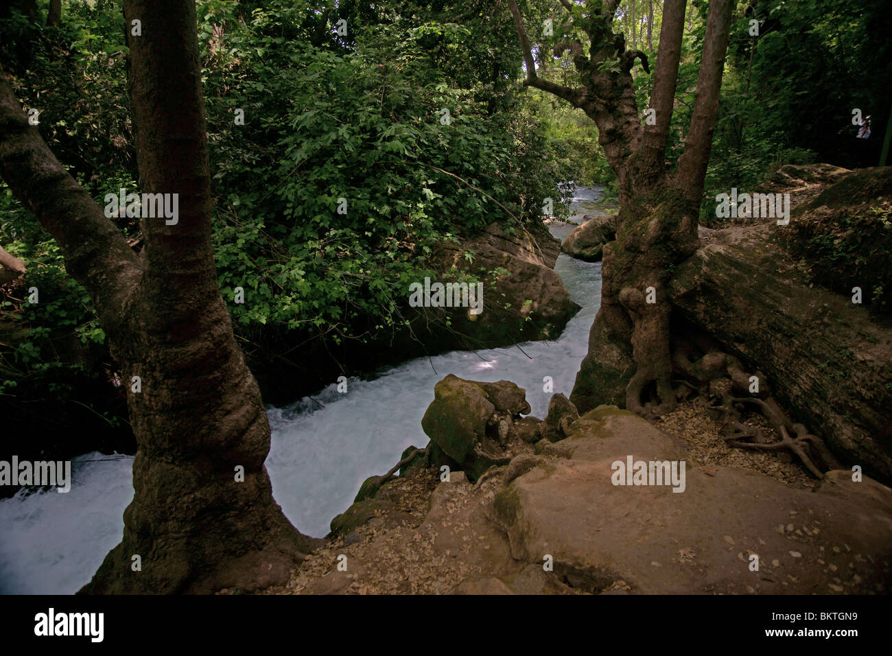 Jordanien herbst -Fotos und -Bildmaterial in hoher Auflösung – Alamy