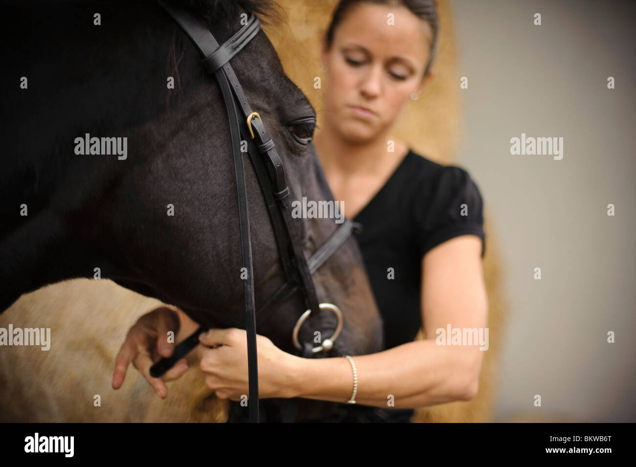 Horse tail braid -Fotos und -Bildmaterial in hoher Auflösung – Alamy