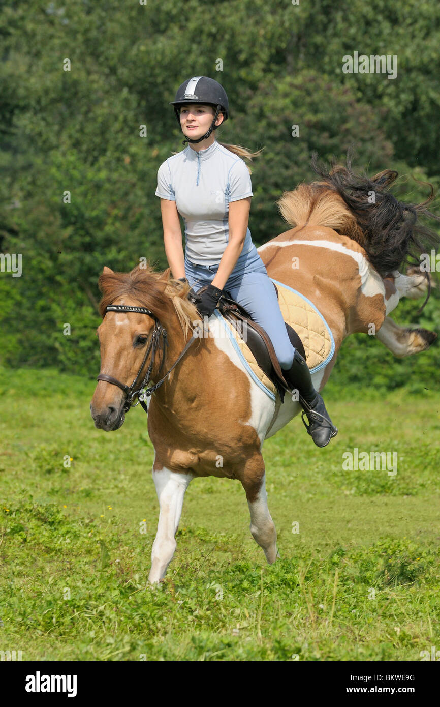 Reiter pferd bockt -Fotos und -Bildmaterial in hoher Auflösung – Alamy