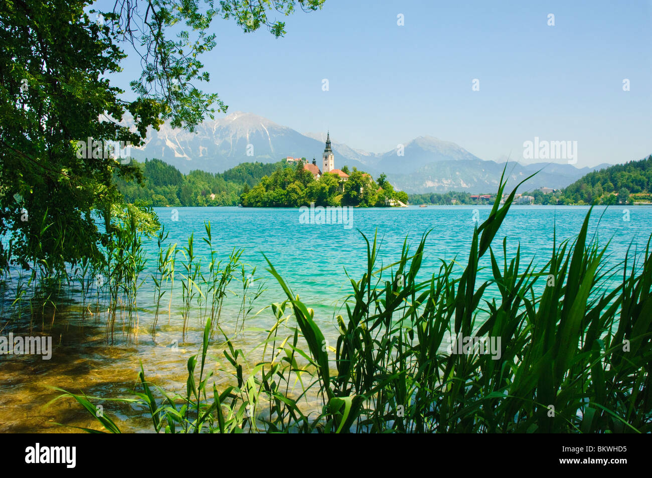 Ufer des Bleder See (Blejsko Jezero), Slowenien, mit Blick auf die ...