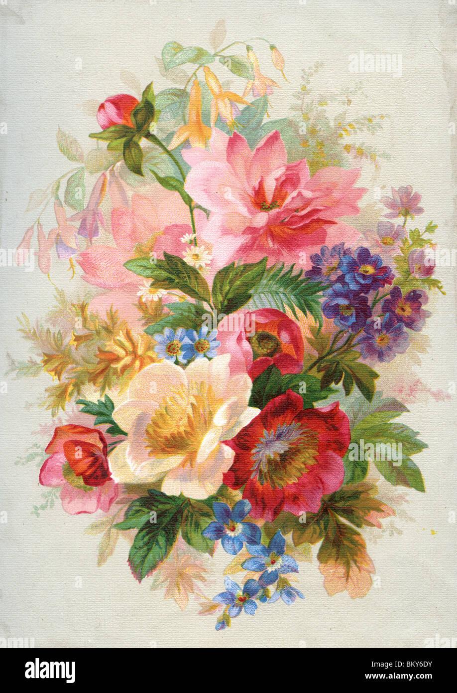 Rosen und fuchsien -Fotos und -Bildmaterial in hoher Auflösung – Alamy