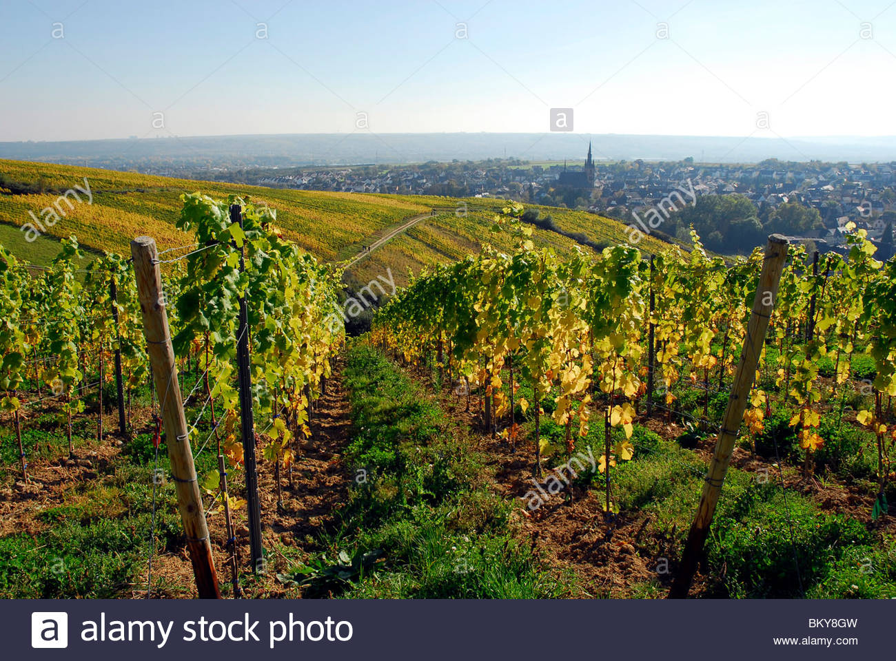 Eltville At River Stockfotos & Eltville At River Bilder - Alamy