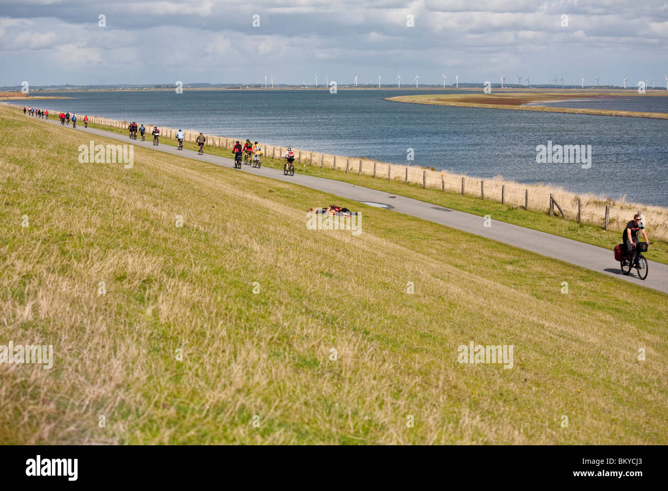 Beltringharder Koog Stockfotos und -bilder Kaufen - Alamy