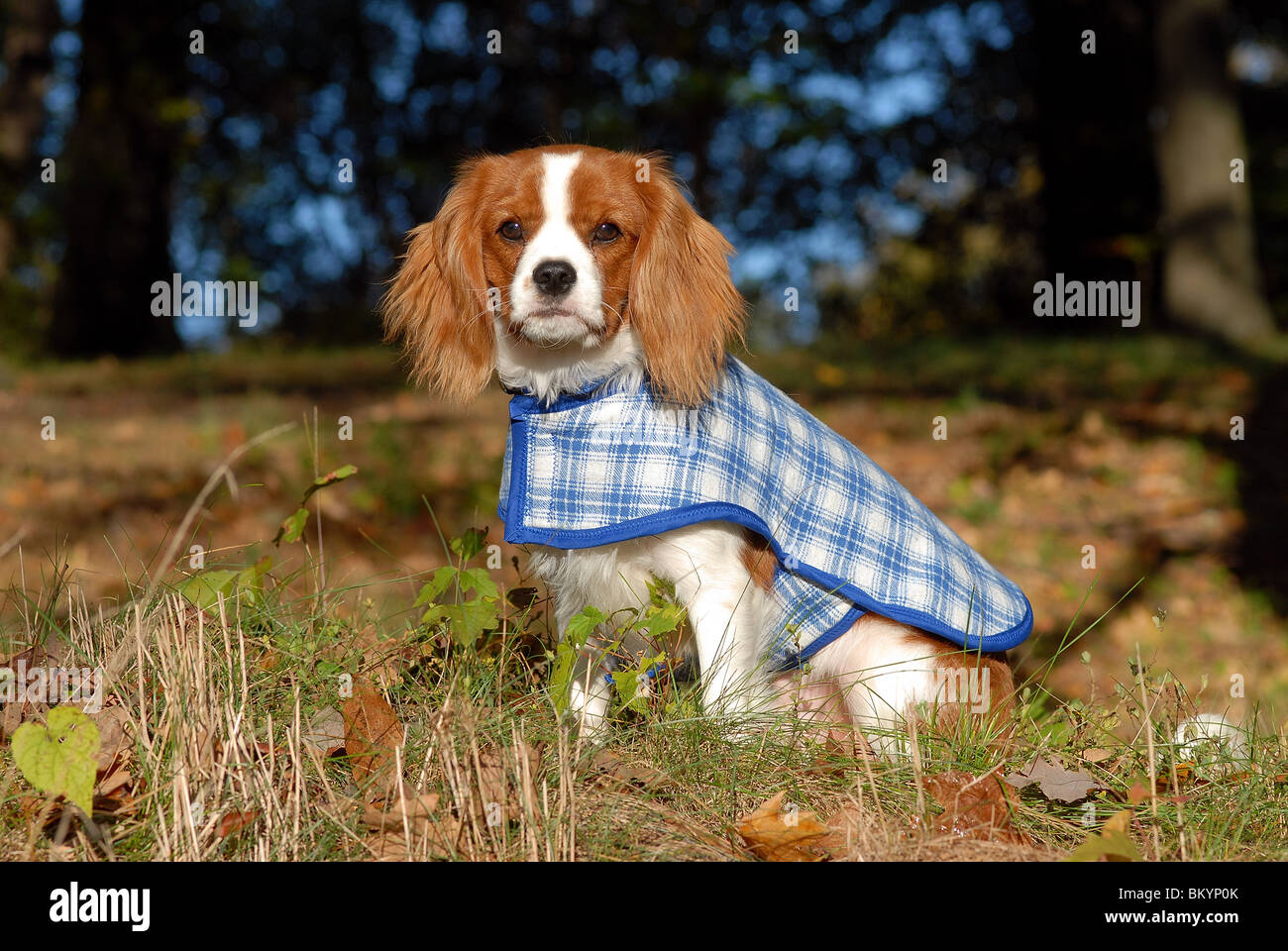 Julie Wilding's Instagram, Twitter & Facebook on IDCrawl