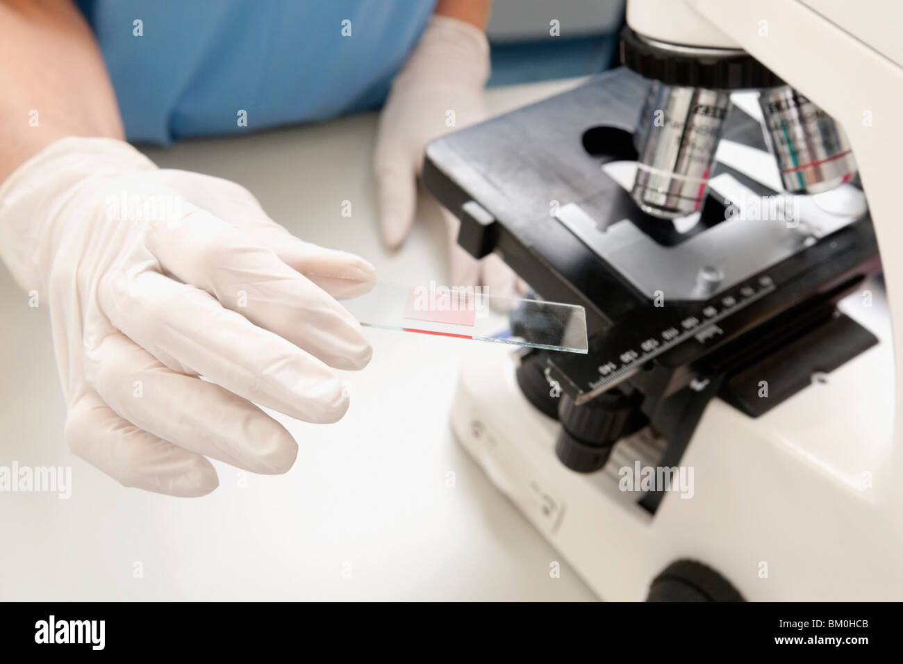Weibliche Laborantin Analyse einer Probe im Labor Stockfotografie - Alamy