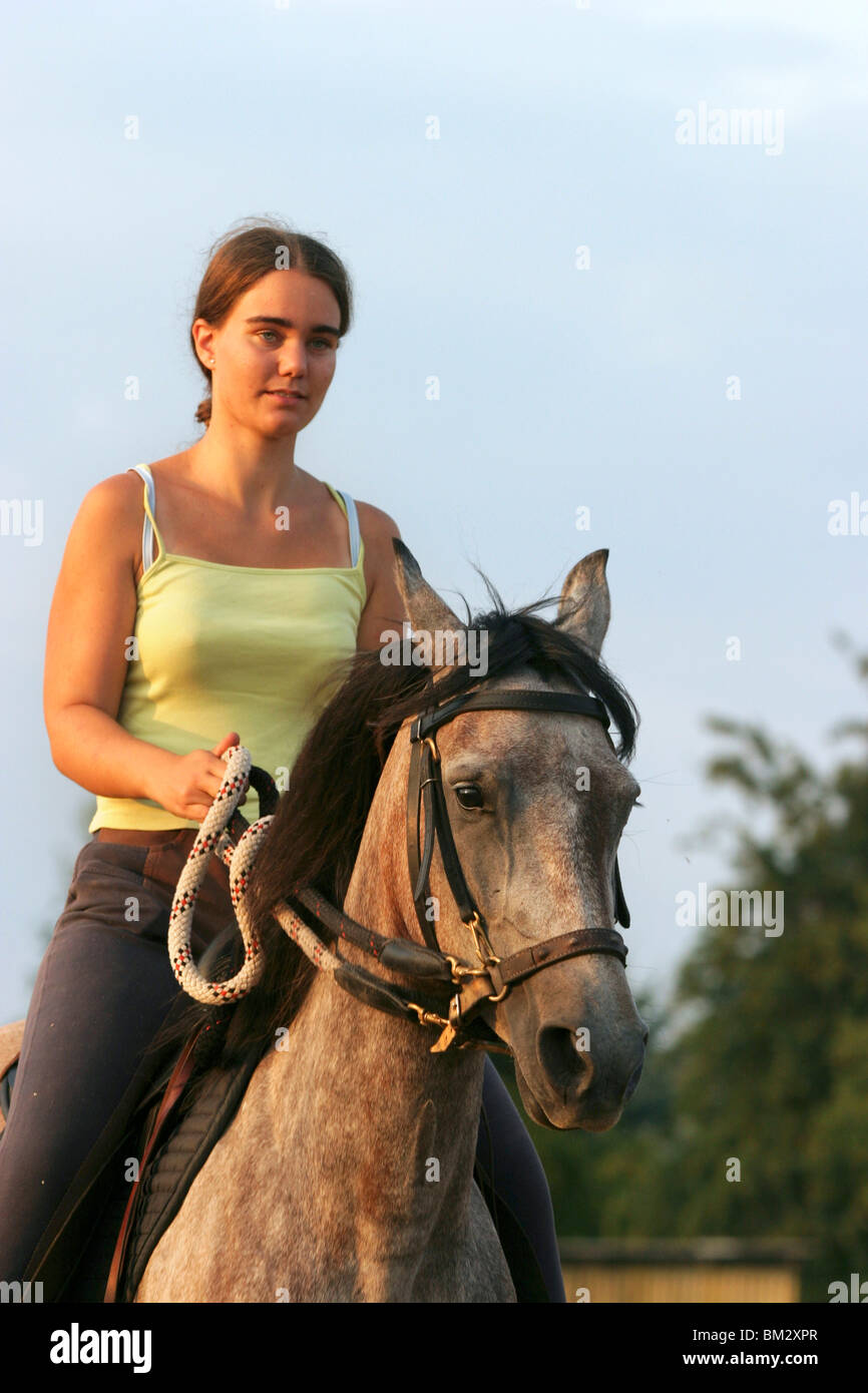 Pferd Und Reiter / Pferd und Reiterin Stockfotografie - Alamy
