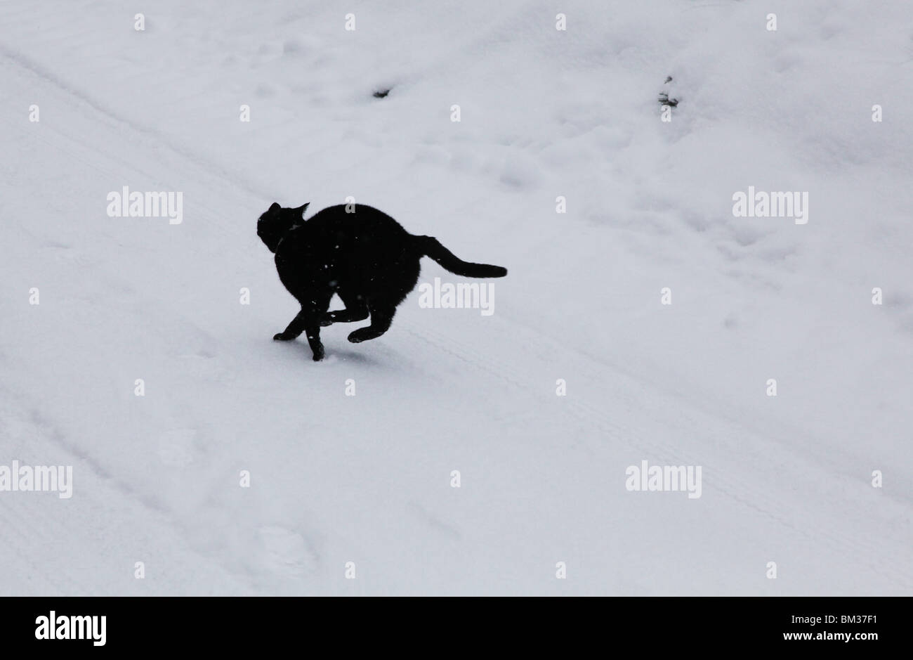 Sprinten silhouette -Fotos und -Bildmaterial in hoher Auflösung – Alamy