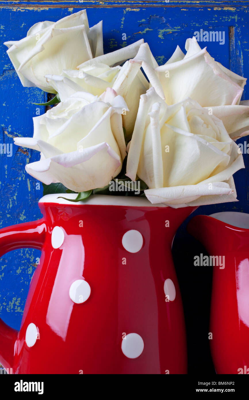 Kultivierte rosen -Fotos und -Bildmaterial in hoher Auflösung – Alamy