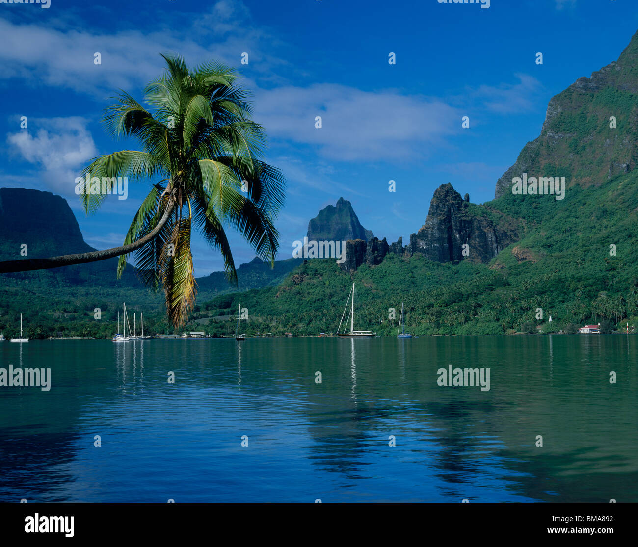 Insel moorea -Fotos und -Bildmaterial in hoher Auflösung – Alamy