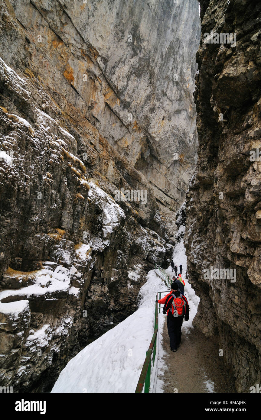Breitachklamm gerinne bei oberstdorf -Fotos und -Bildmaterial in hoher ...