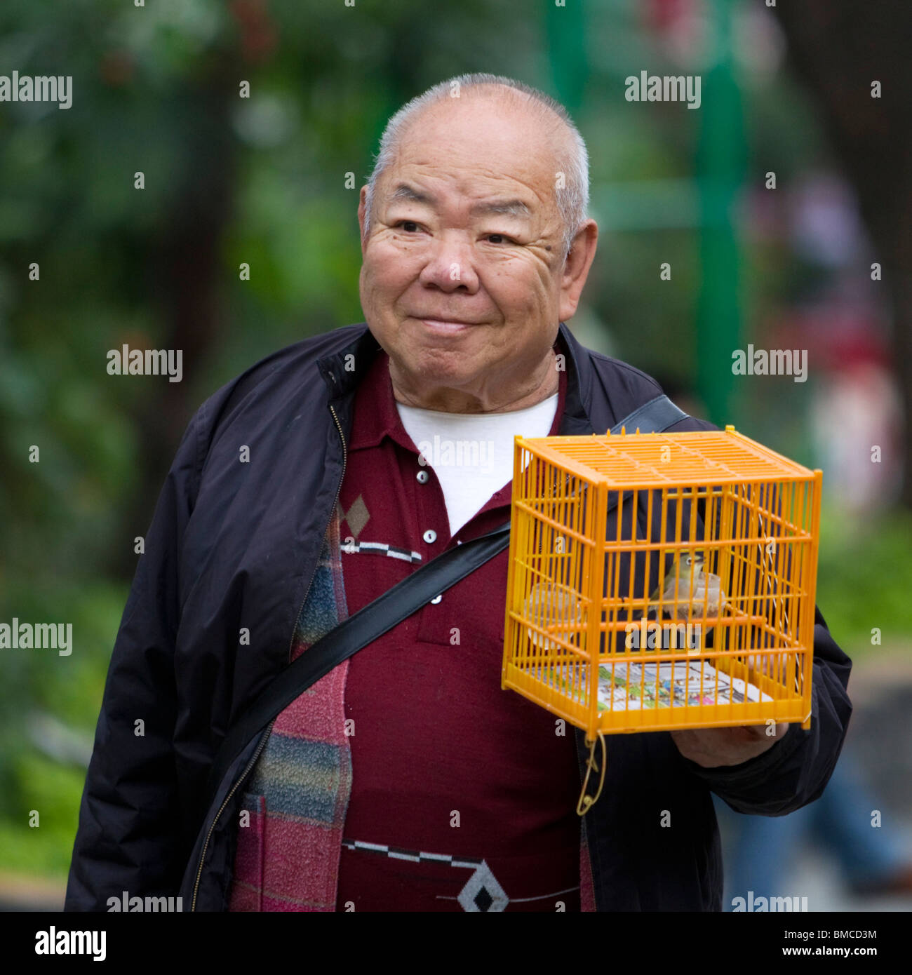 Yuen po street bird garden -Fotos und -Bildmaterial in hoher Auflösung ...