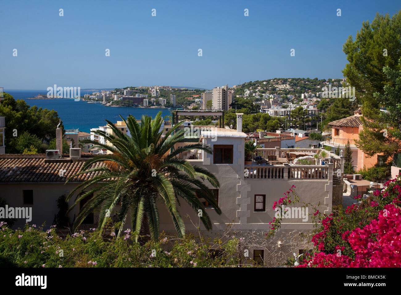 Cala major -Fotos und -Bildmaterial in hoher Auflösung – Alamy