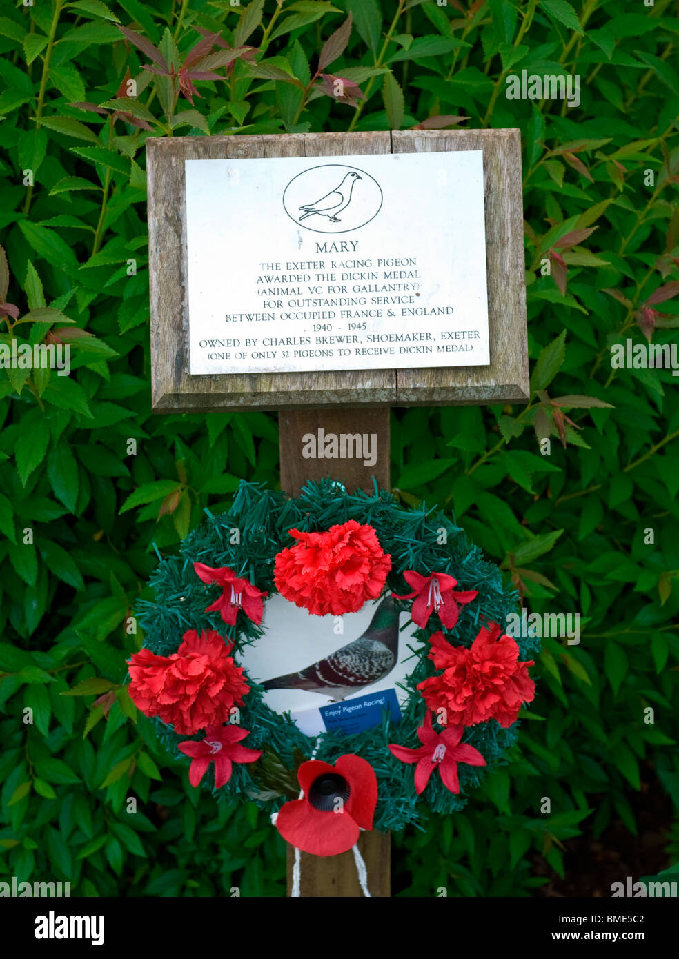 Dickin medaille -Fotos und -Bildmaterial in hoher Auflösung – Alamy