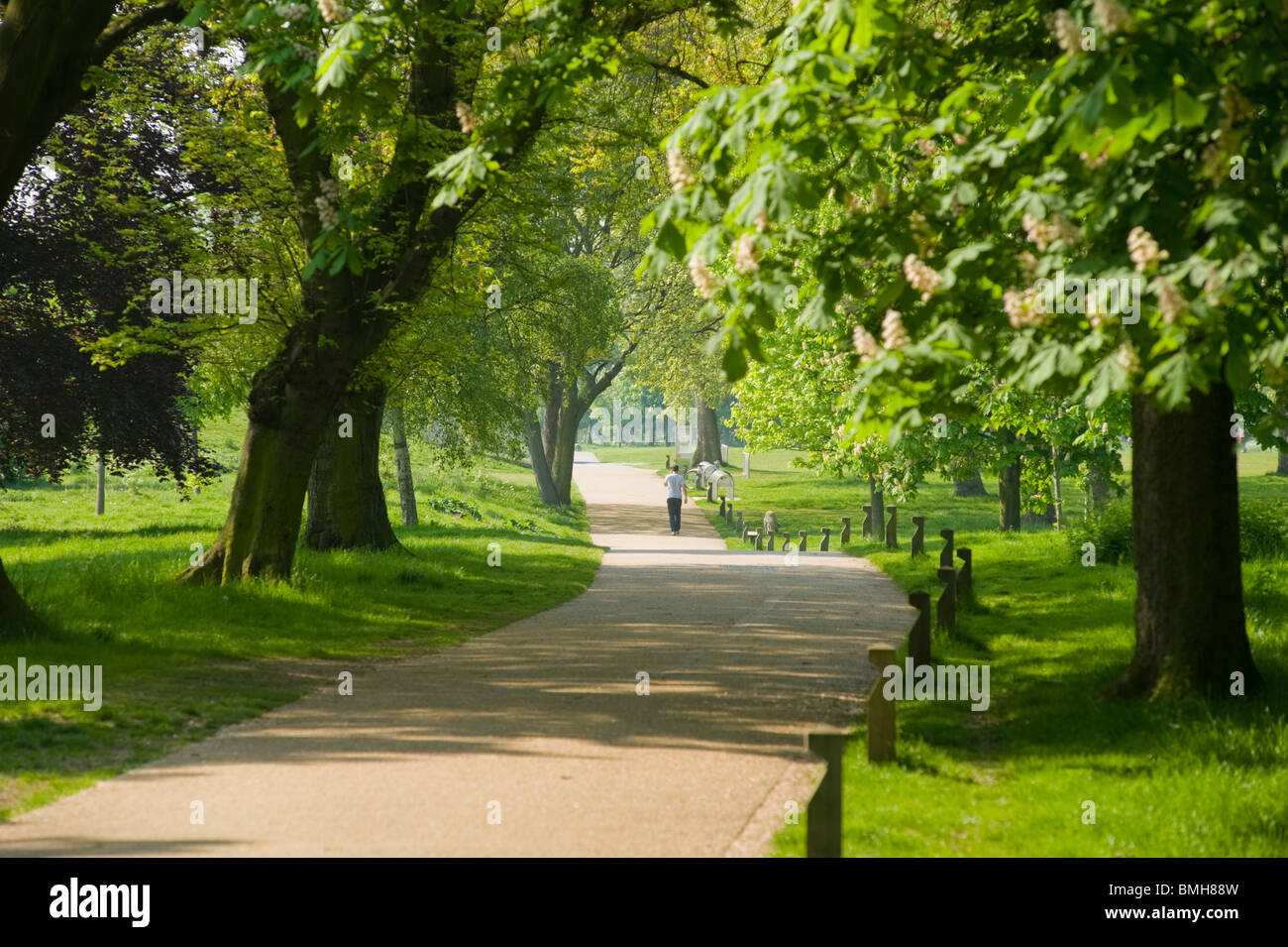 Regents Park, London, England, UK Stockfotografie - Alamy